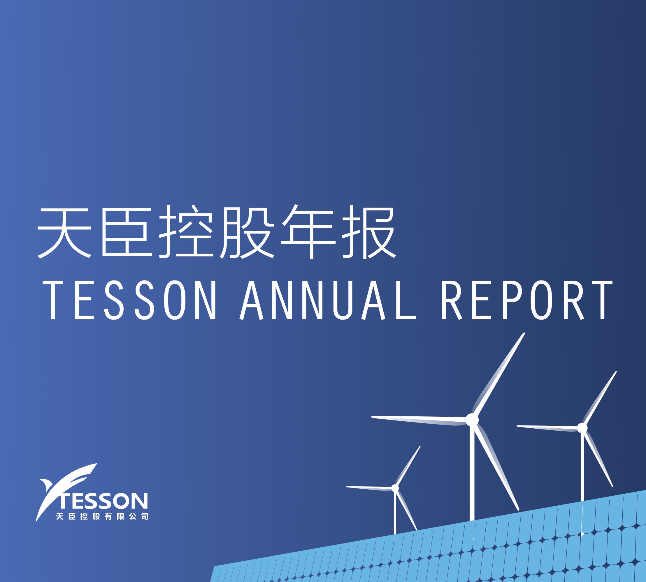 Tesson Holdings Limited | Group Overview