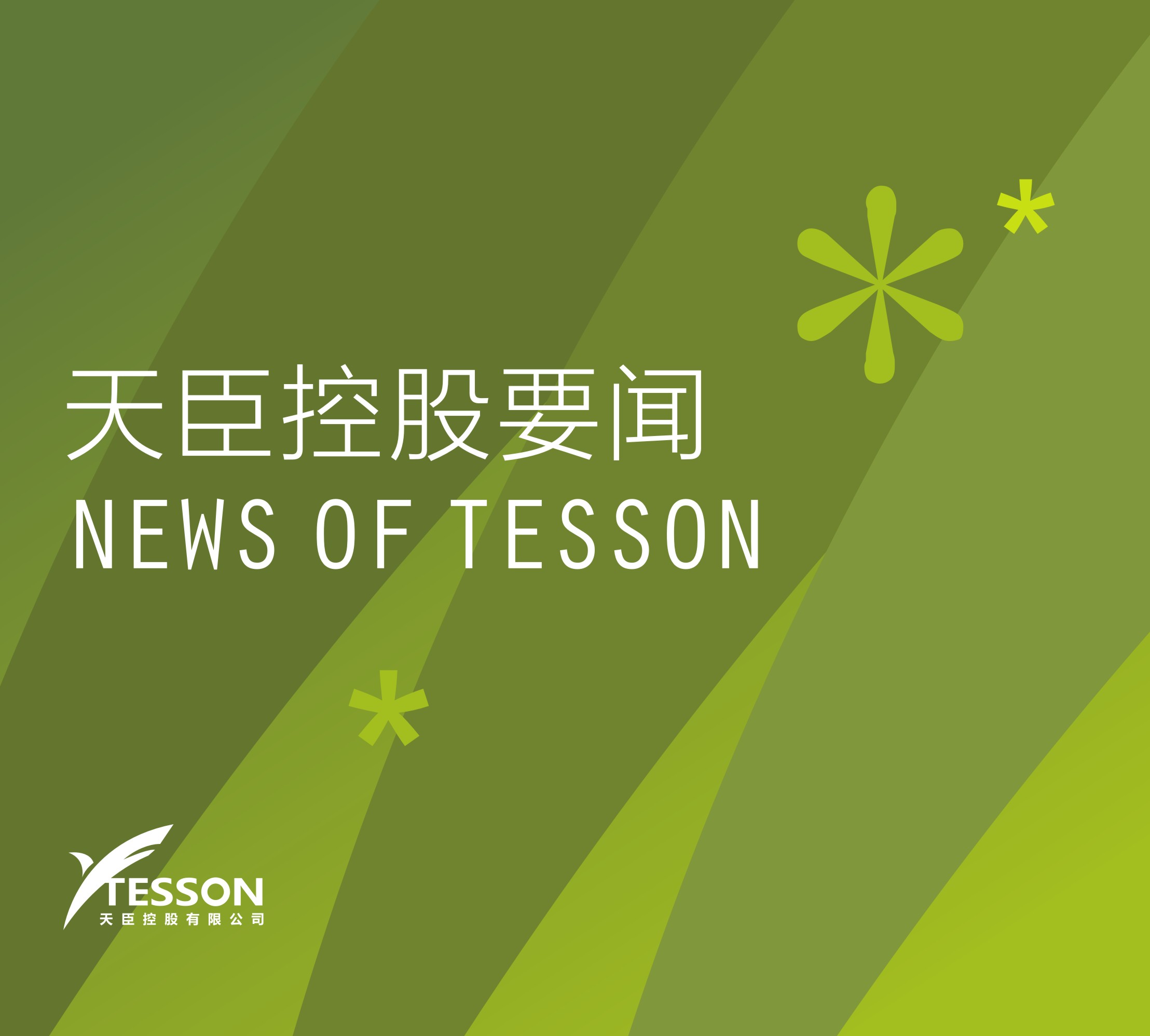 Tesson Holdings Limited | Group Overview